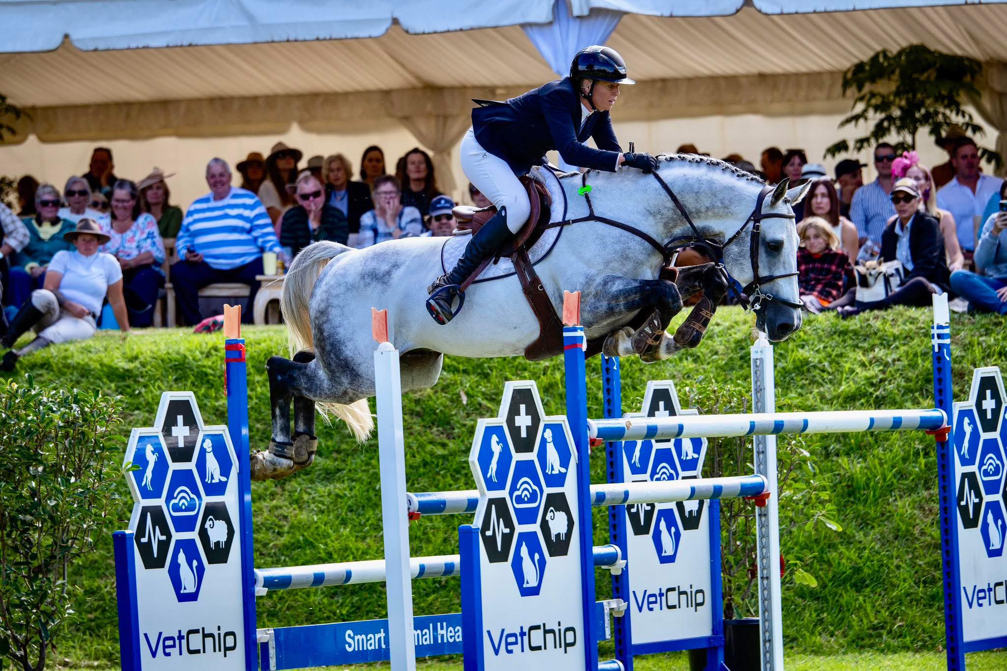 Caitlin Bolger – Saddles Plus AU