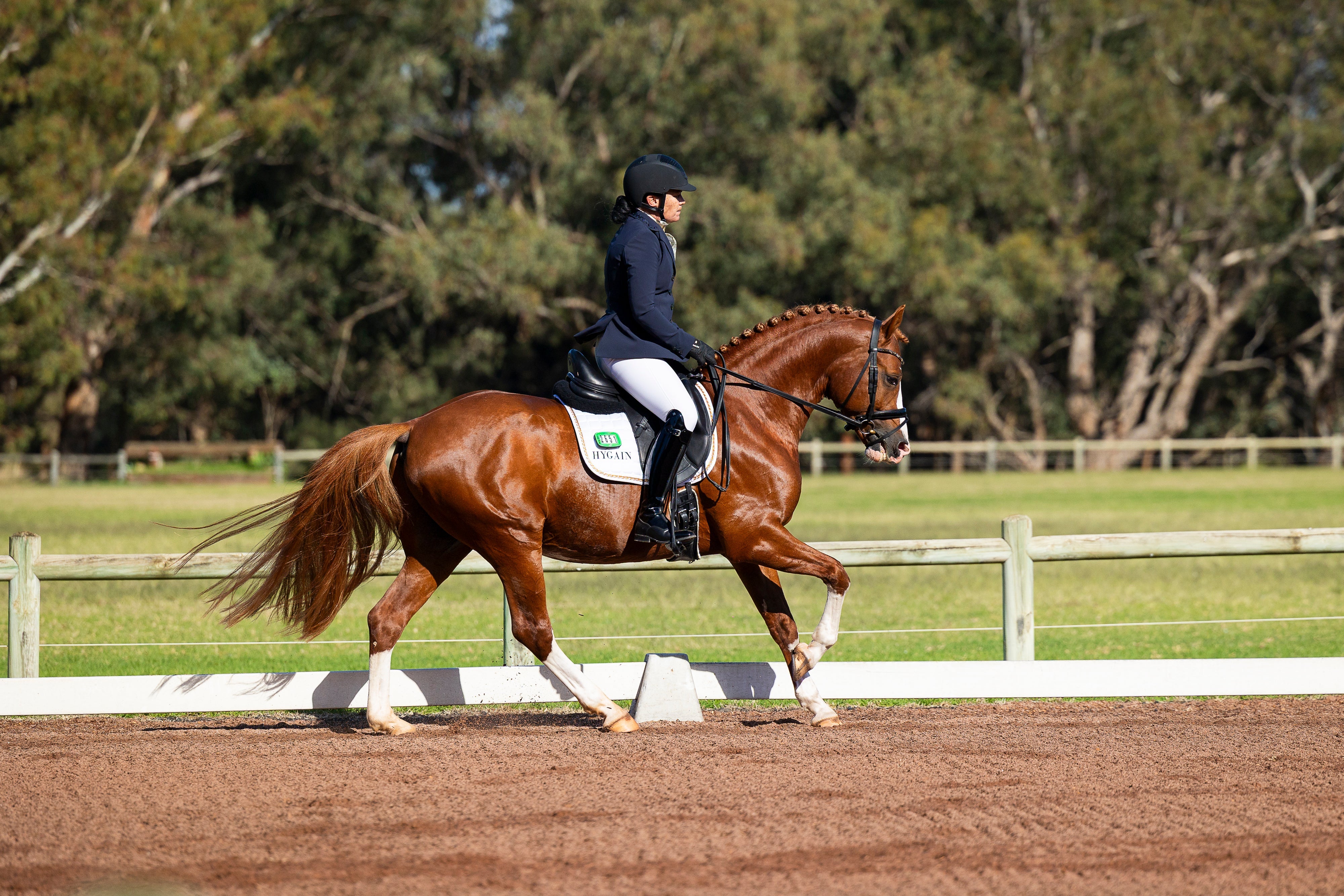 Kristy Jarvis – Saddles Plus AU